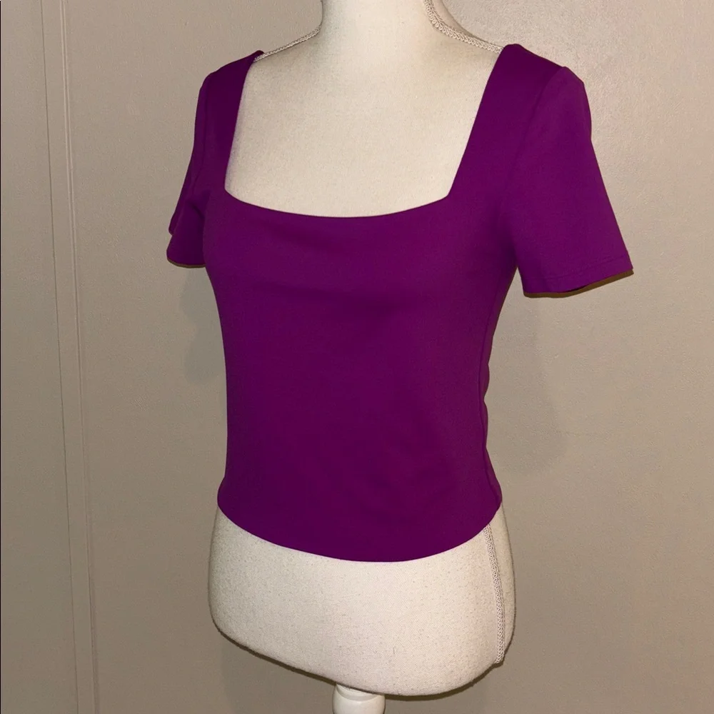 Aritzia | Tops | Babaton Aritzia Cropped Top | Poshmark